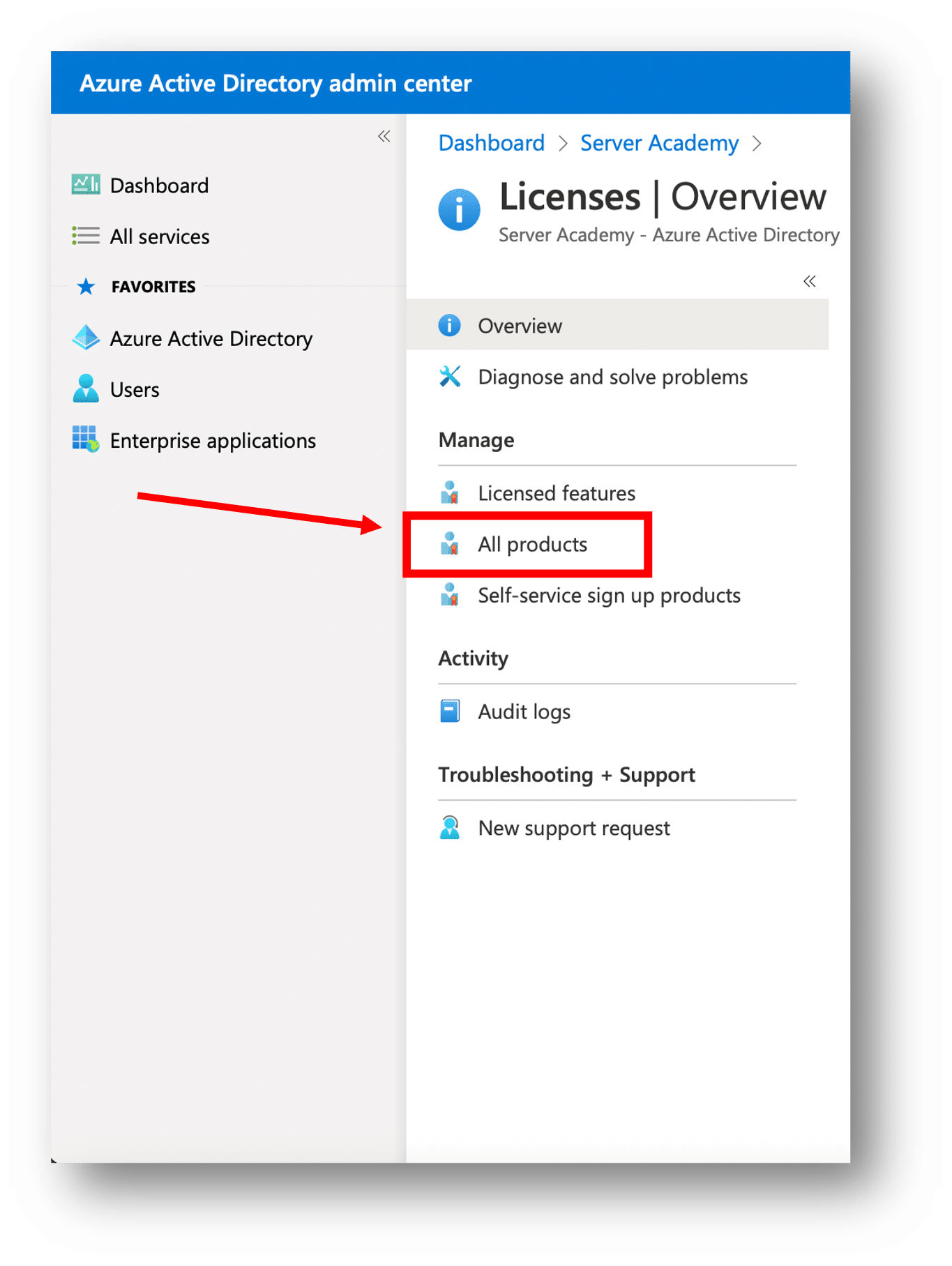 How to Create a Licensing Group in Microsoft 365 Tenant - Server Academy