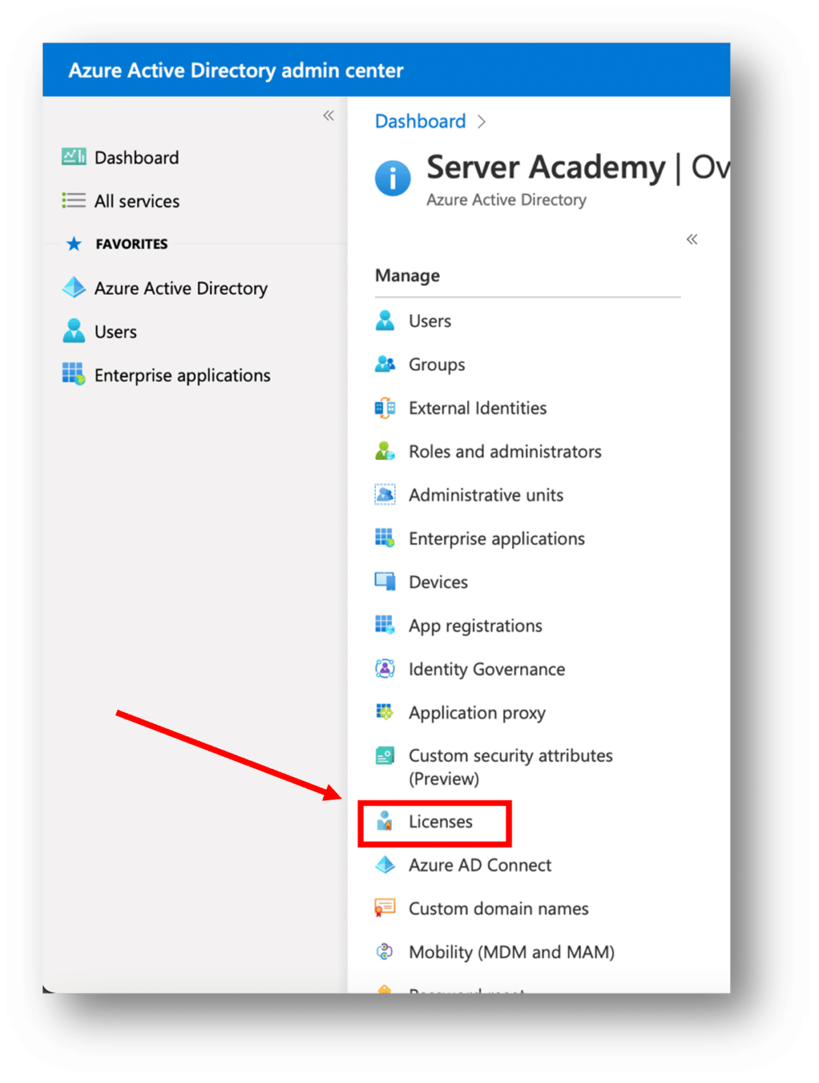 How to Create a Licensing Group in Microsoft 365 Tenant - Server Academy