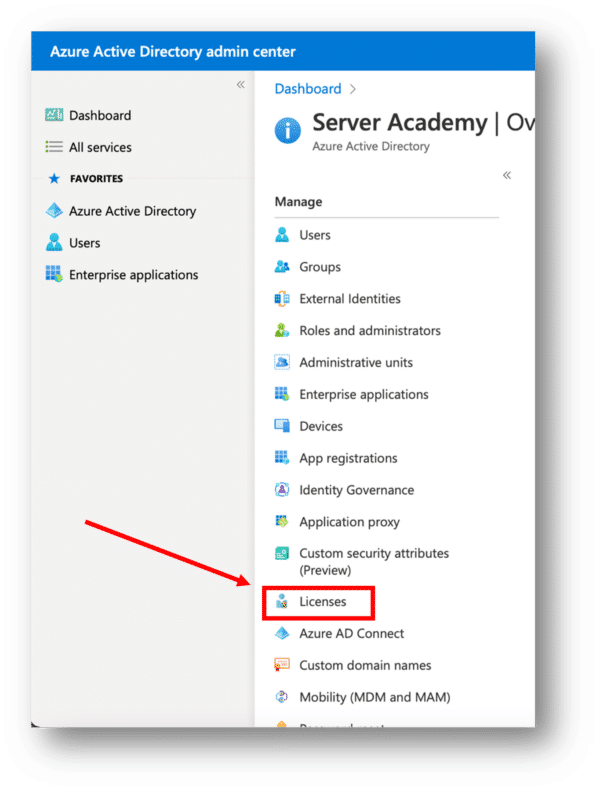How to Create a Licensing Group in Microsoft 365 Tenant - Server Academy
