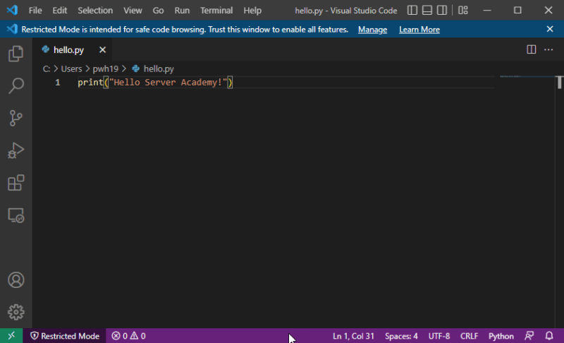 Learn How To Execute Python Code In Different Ways Server Academy
